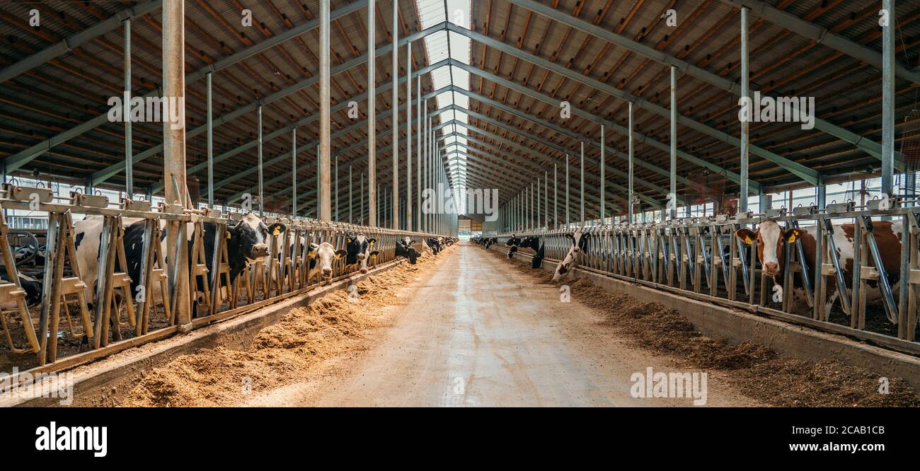Inside farm shed hi-res stock photography and images - Alamy