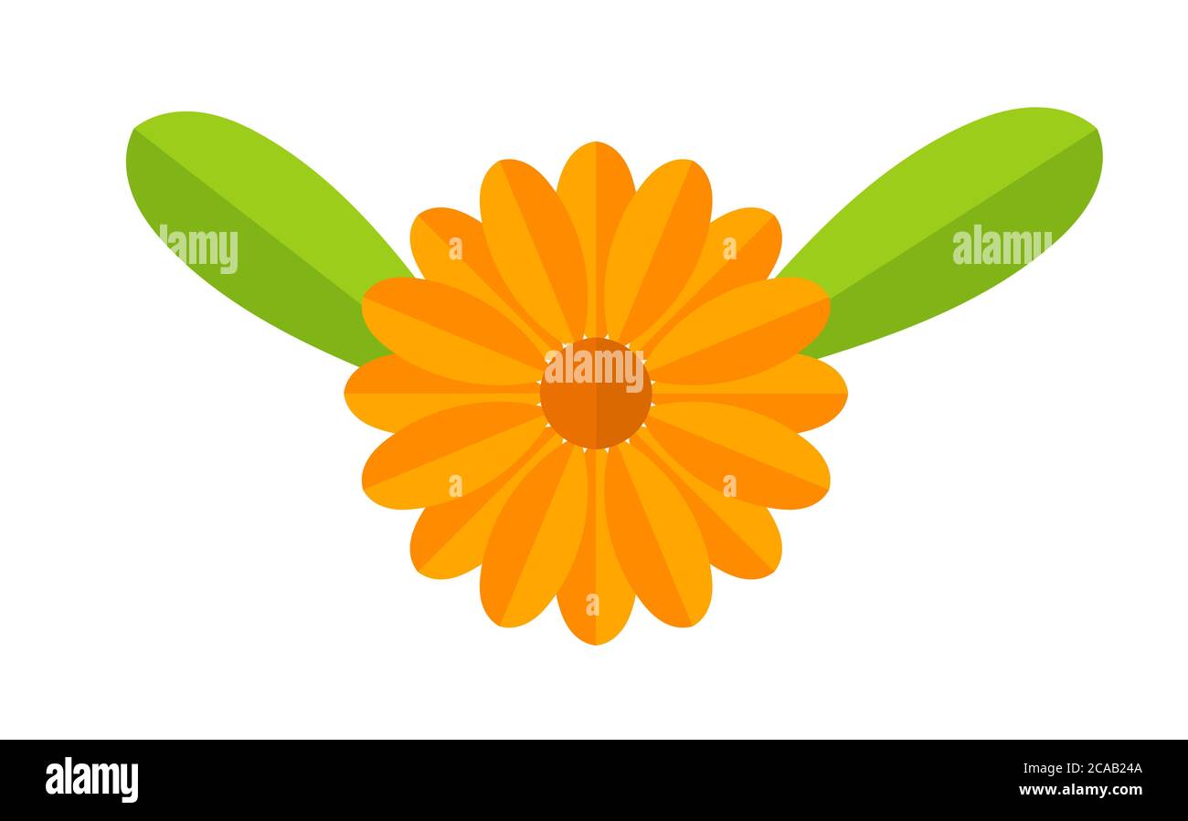 Orange Calendula flower with leaves symbol. Vector illustration Stock ...