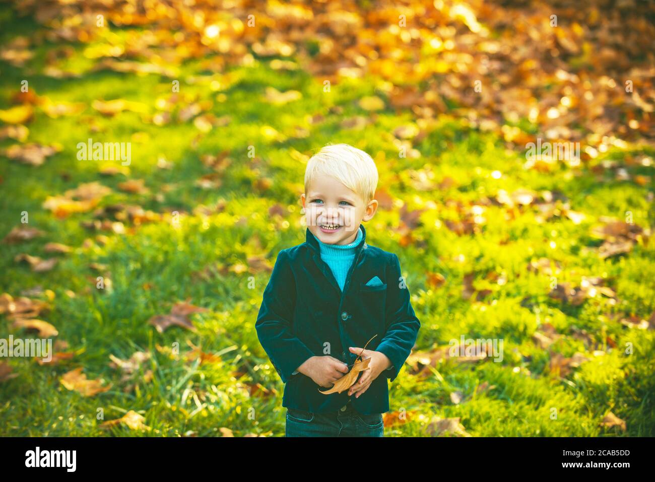 Autumn kids Portrait In Fall Yellow Leaves. Little child in yellow Park ...