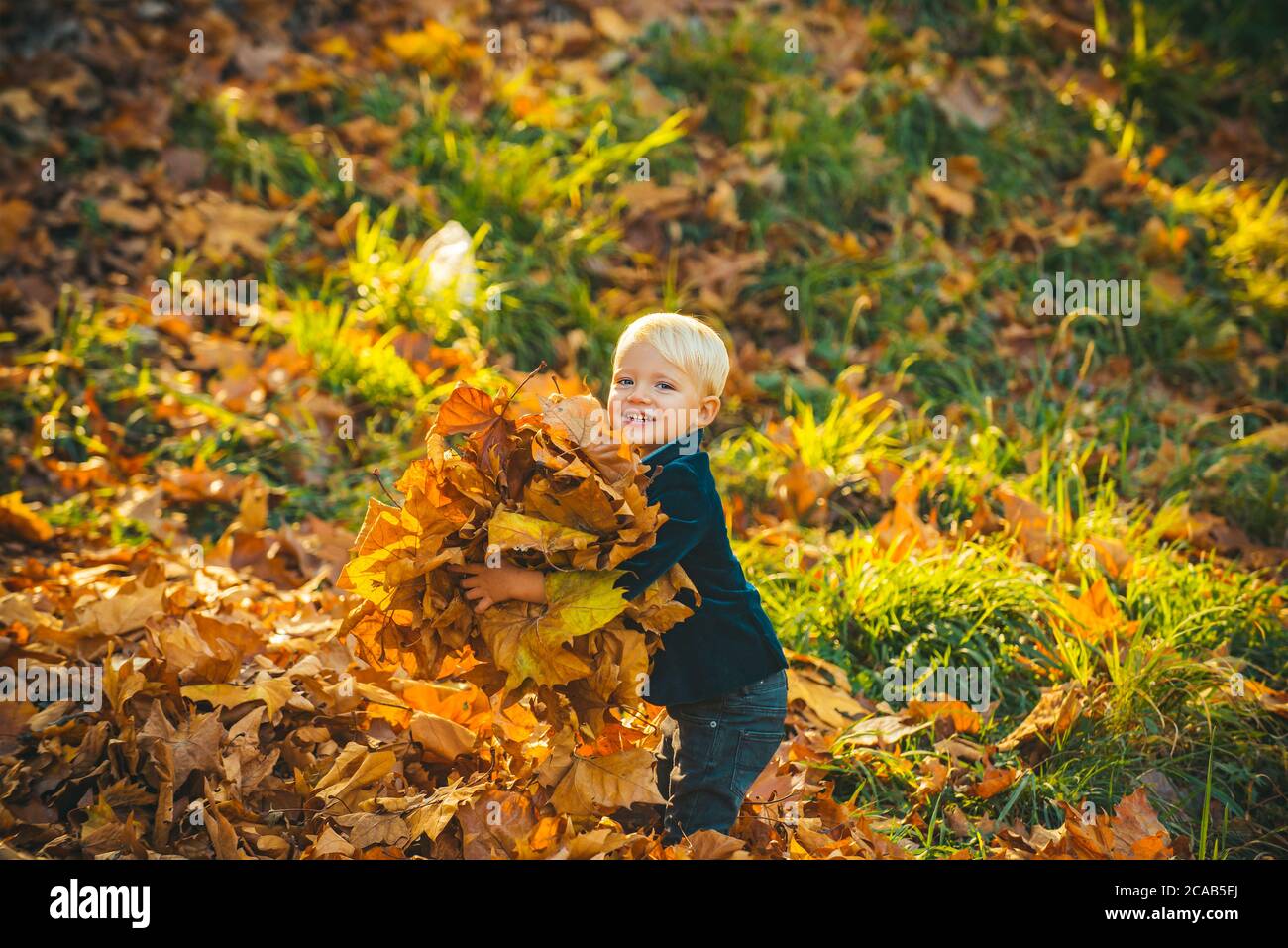 Cute child playing with autumn leaves. Happy child throwing the fallen ...
