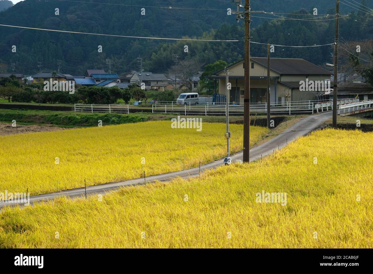 Japanese rice terrace hi-res stock photography and images - Alamy