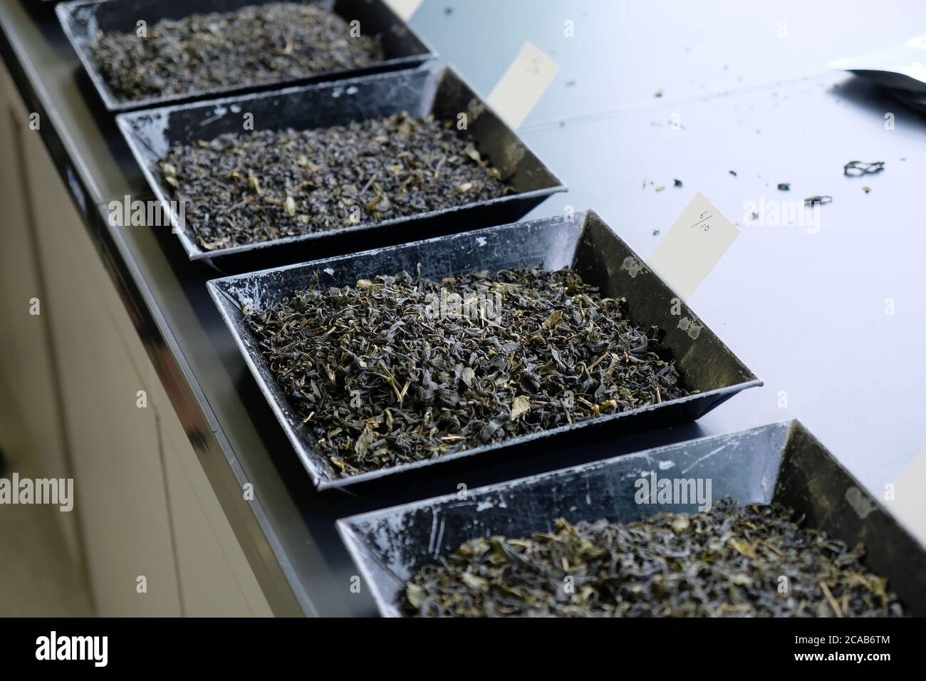Tea tasting hi-res stock photography and images - Alamy