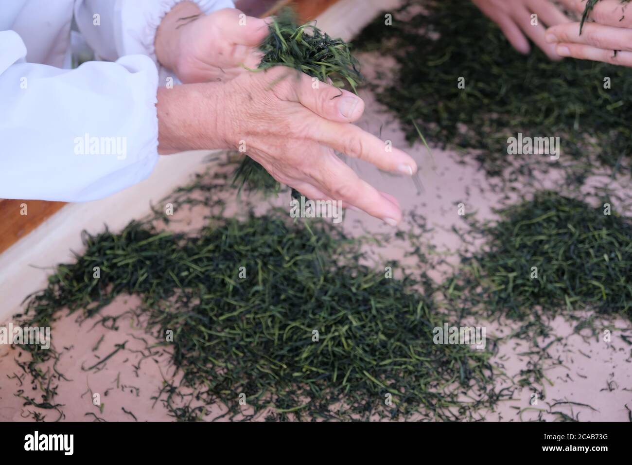 Temomicha, a traditional artisanal technique. It is a process kneading ...