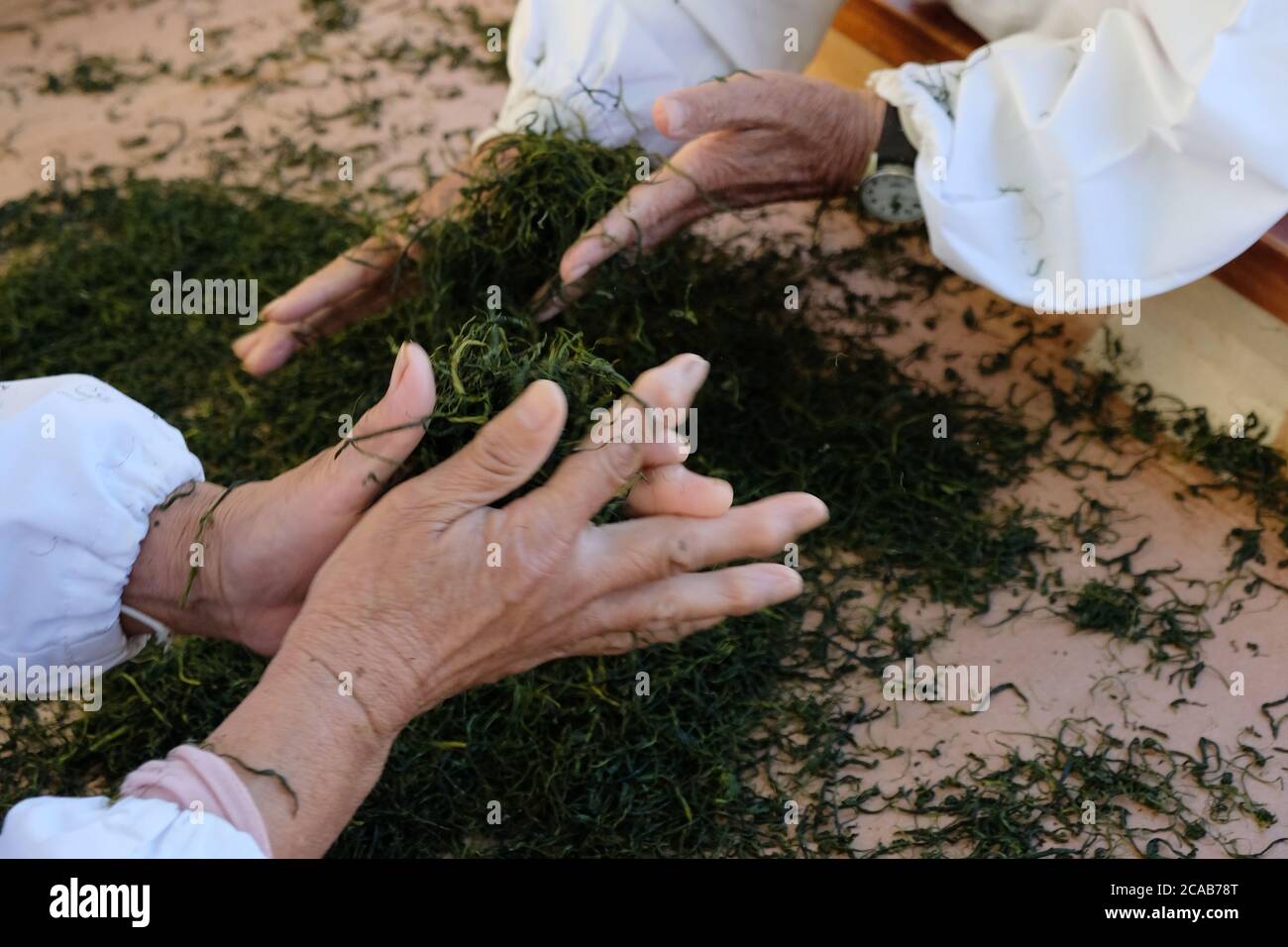 Long needle like leaves hi-res stock photography and images - Alamy