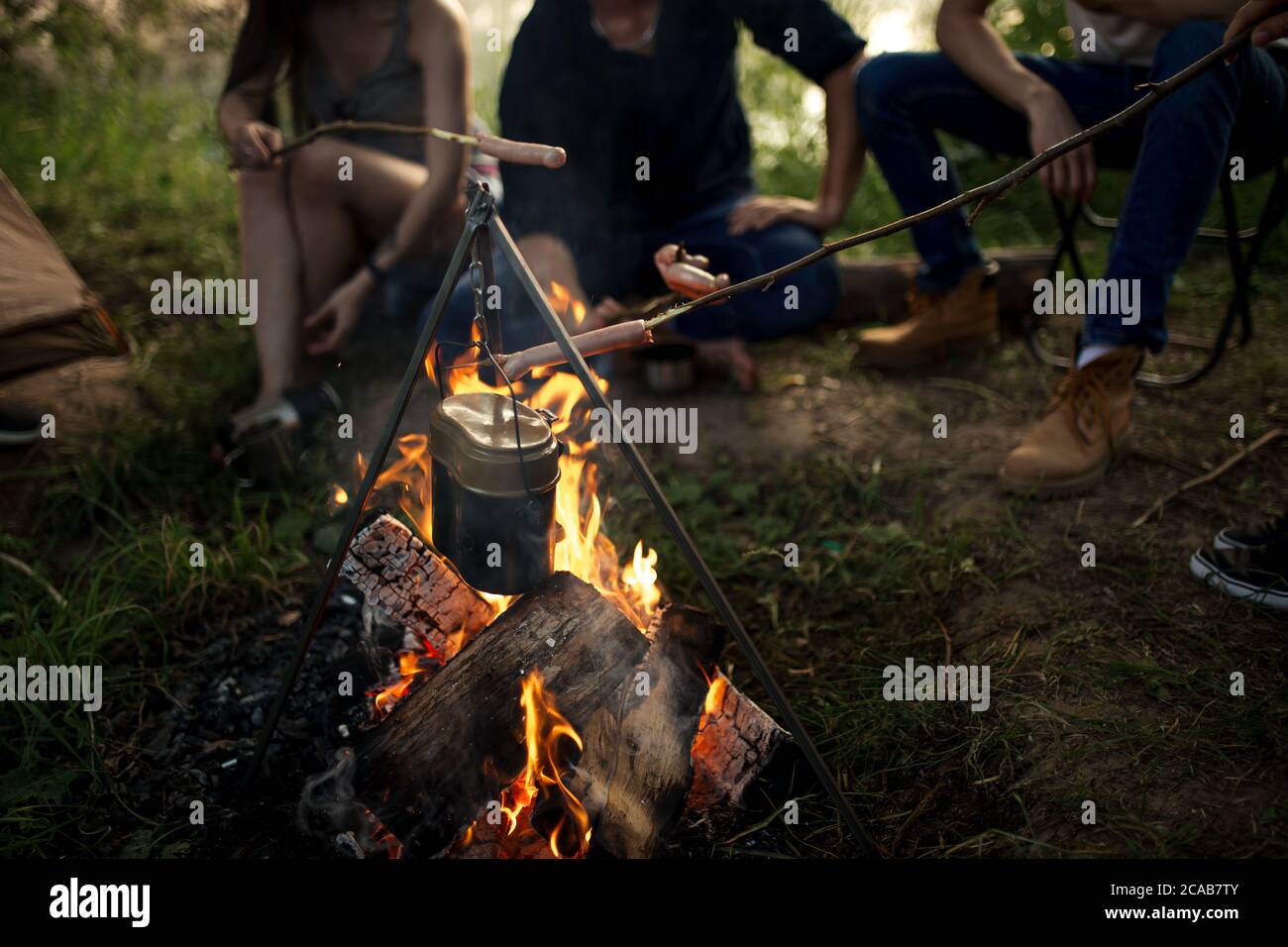 beautiful campfire in the picturesque place. close up photo. copy space ...