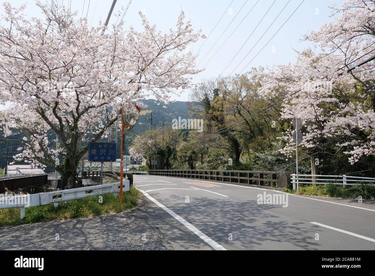 Beautiful cherry blossom at SHizuoka village, Japan. In Japan, the ...