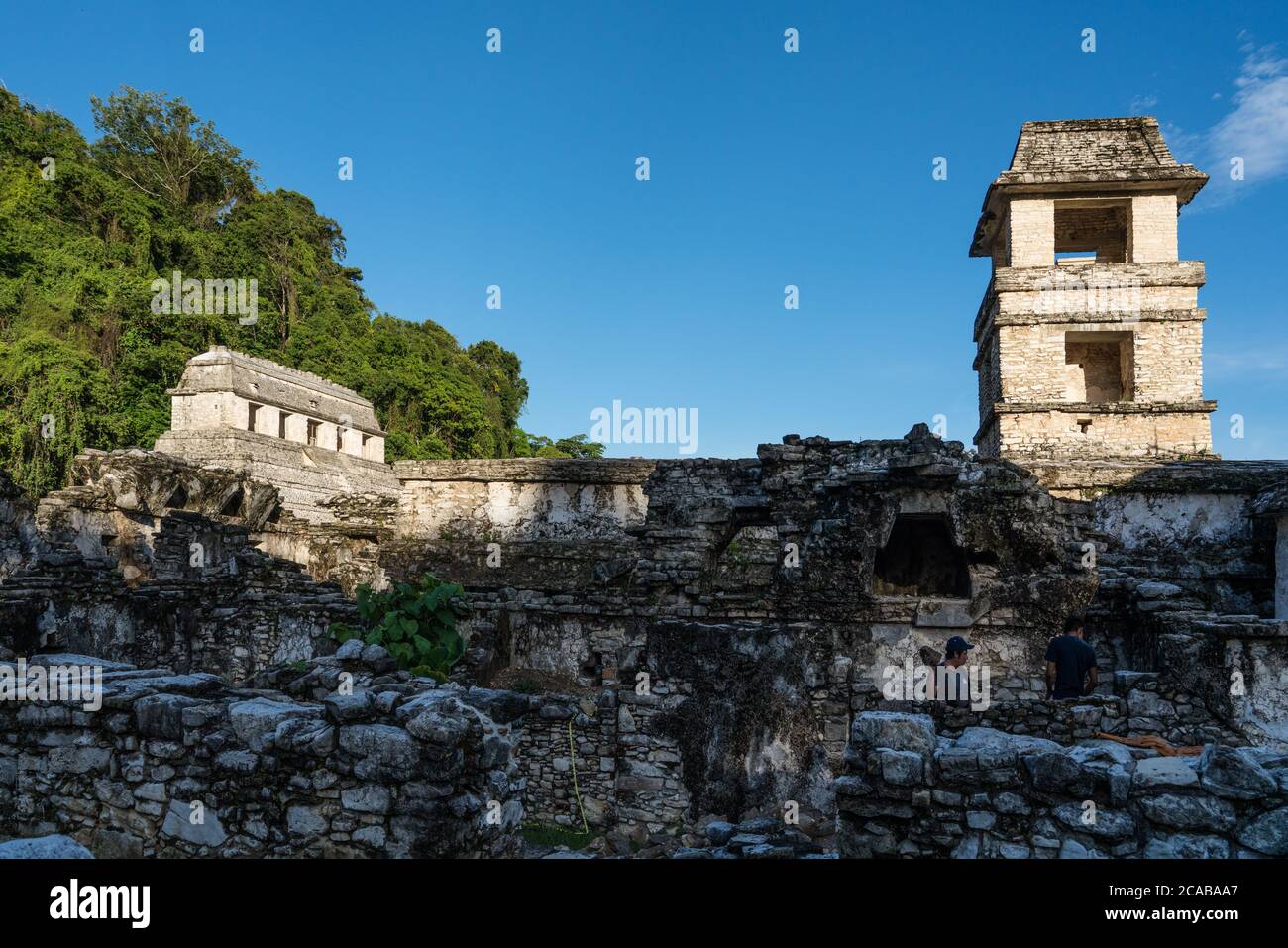 The Palace tower and the Temple of the Inscriptions in the ruins of the ...