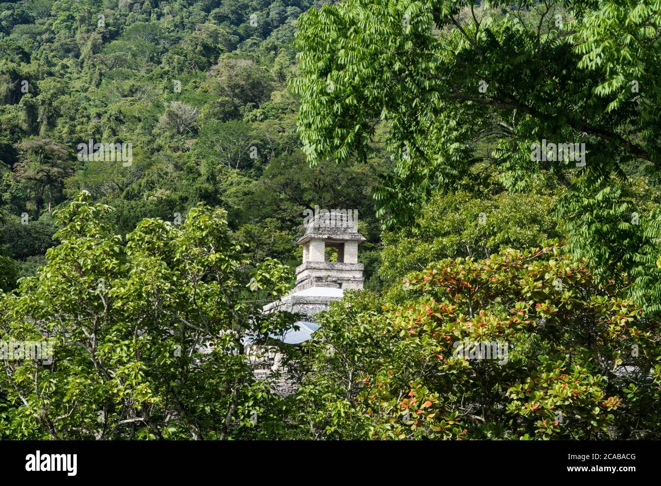 The Palace tower through the trees in the ruins of the Mayan city of ...