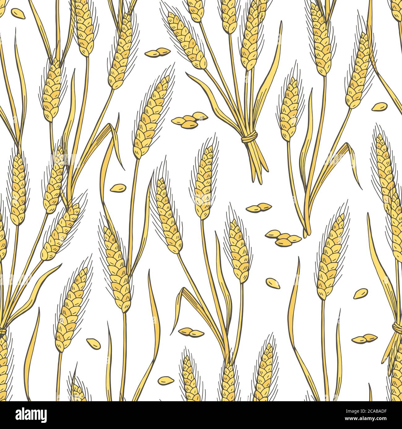 Wheat graphic color seamless pattern background sketch illustration ...