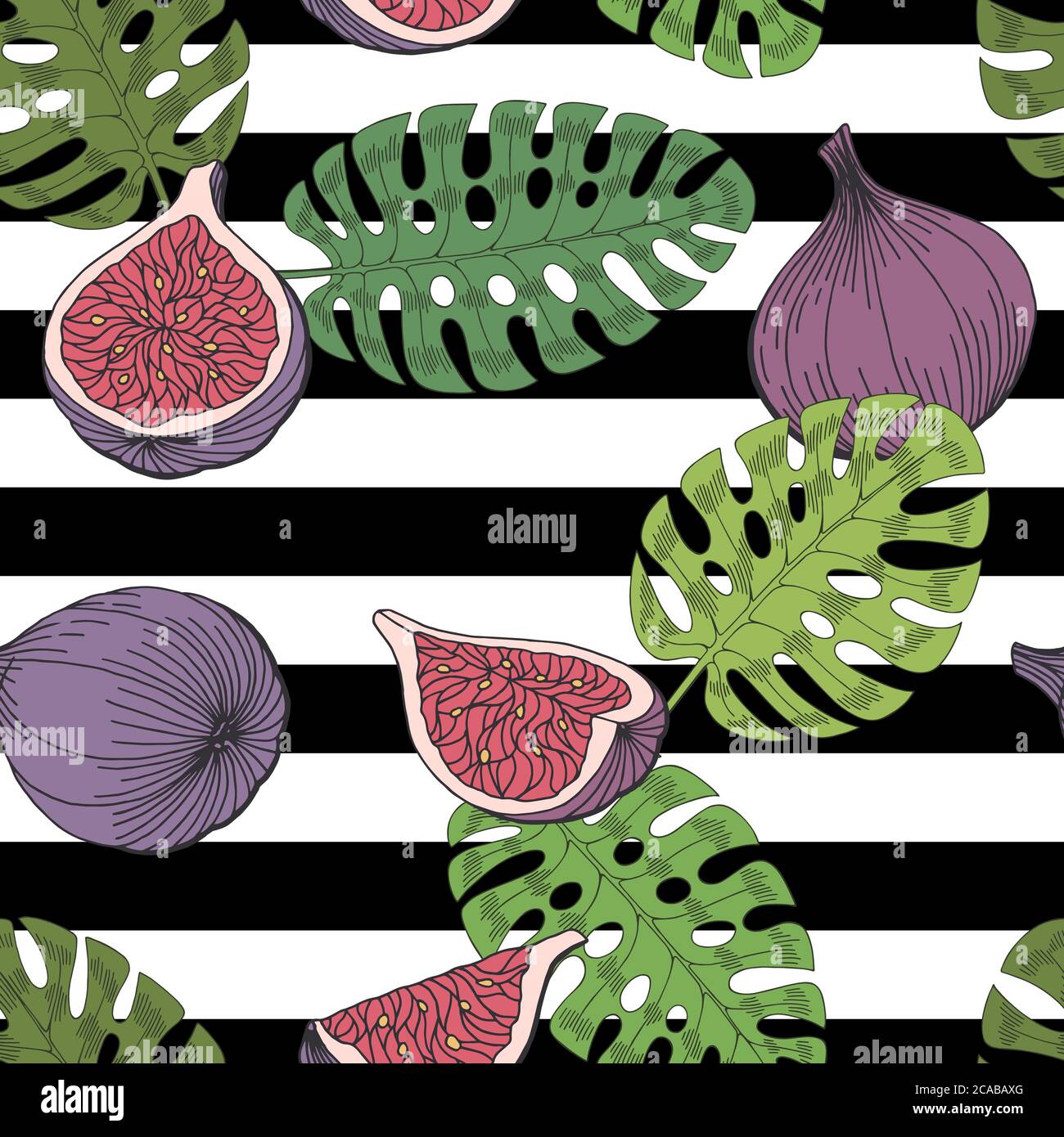 Fig fruit graphic color seamless pattern background sketch illustration ...