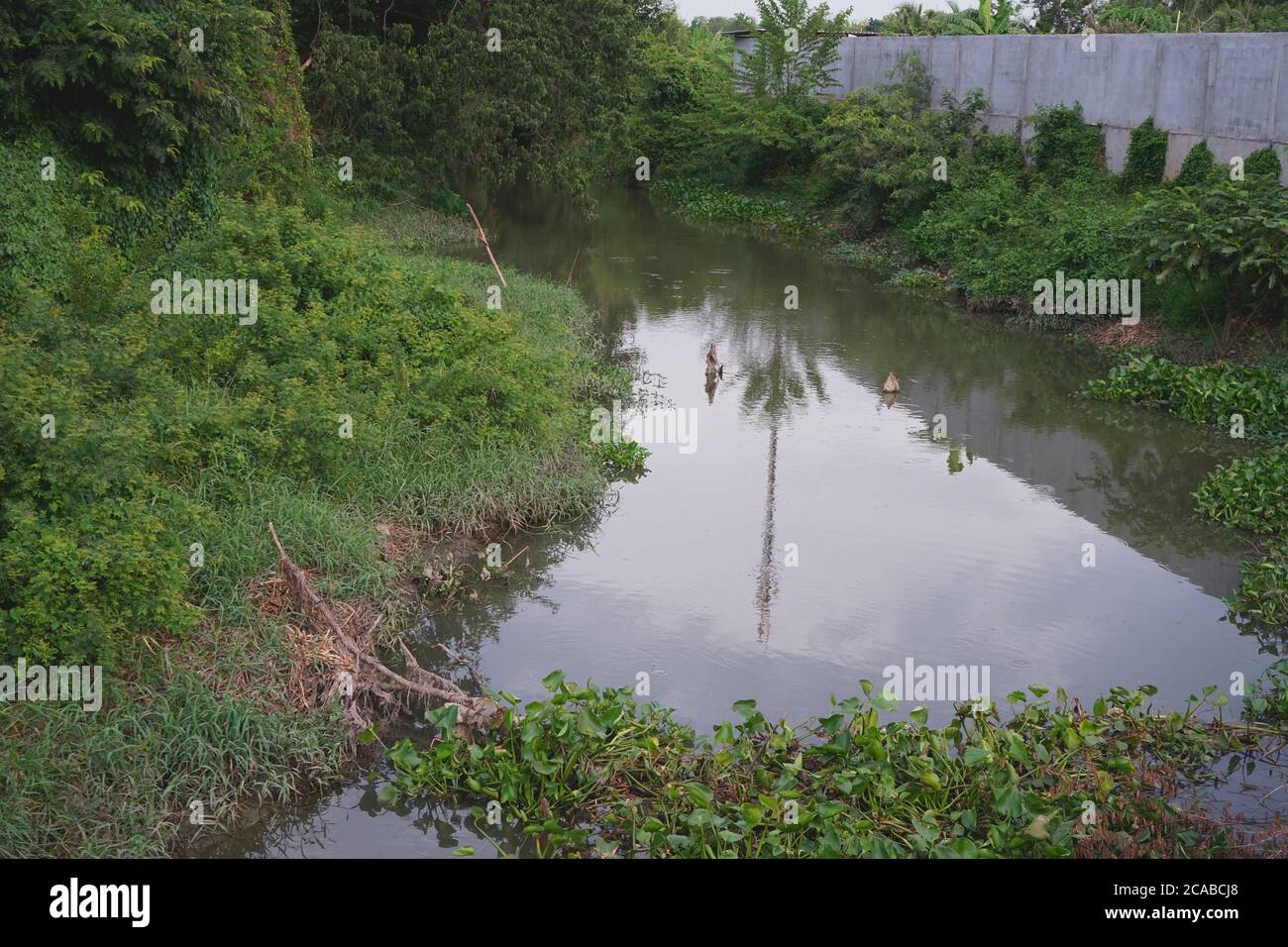 Drainage canal from the community area Stock Photo - Alamy