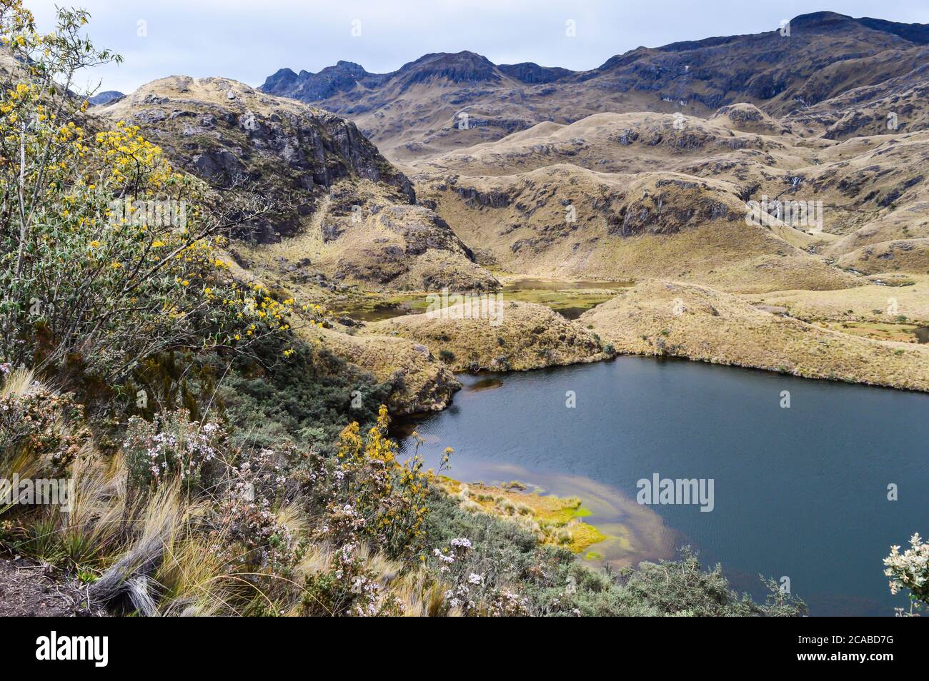 Beautiful scenery of a mountain lake in Cajas National Park, Ecuador ...
