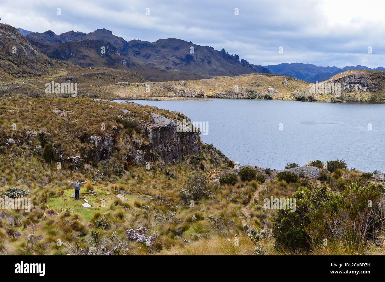 Person standing on a cliff in El Cajas National Park in Ecuador Stock ...