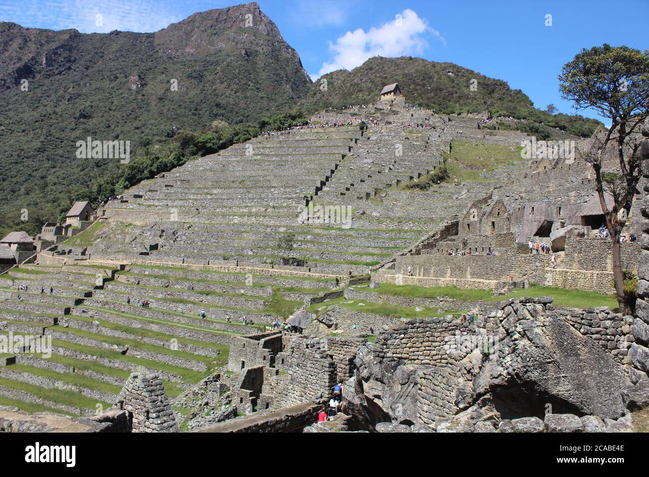 View in the historical place of Machu Picchu Stock Photo - Alamy