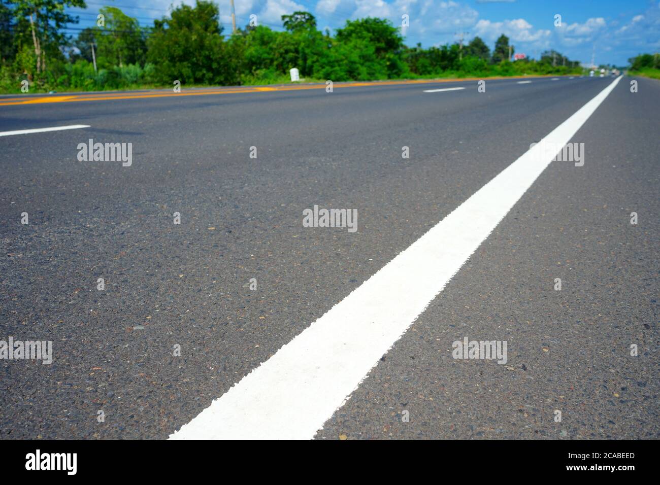 Road traffic paint on the asphalt surface And to ensure safety Stock ...