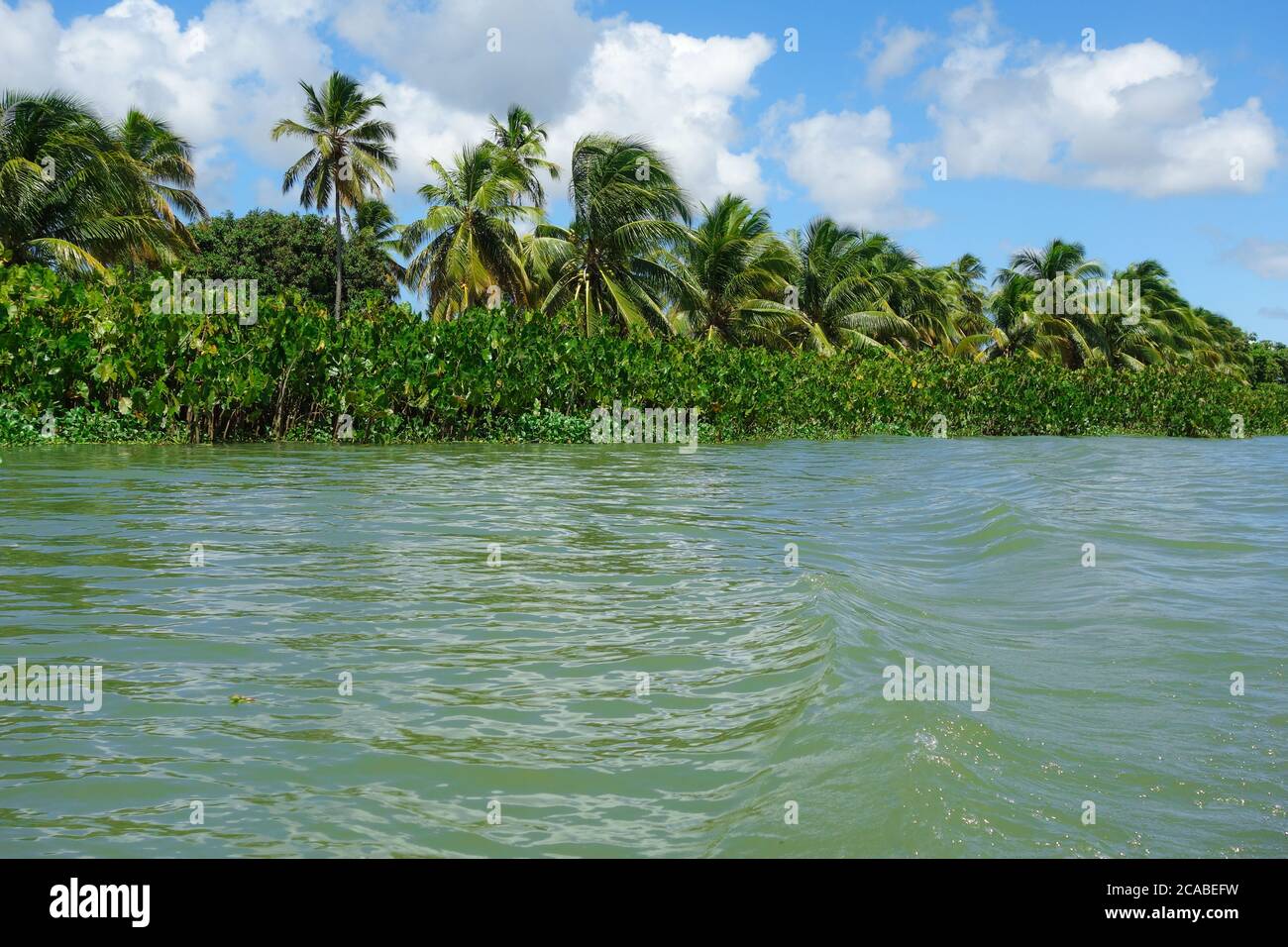 Beautiful scene of the sea and the land with rich tropical plant life ...