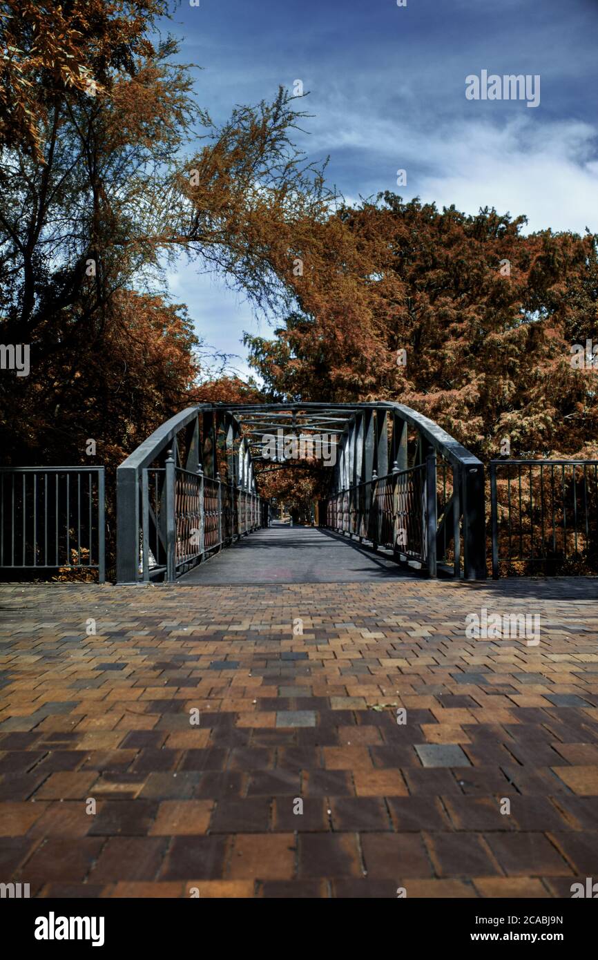 Johnson Street Bridge High Resolution Stock Photography and Images - Alamy