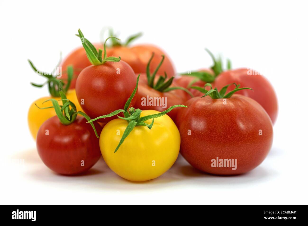 Yellow and red tomatoes against a white background Stock Photo - Alamy