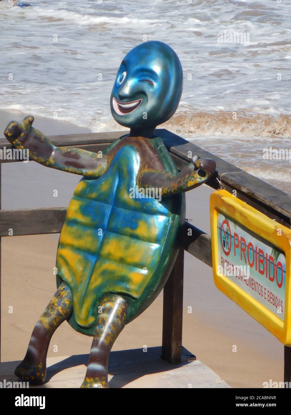 Metal turtle hi-res stock photography and images - Alamy