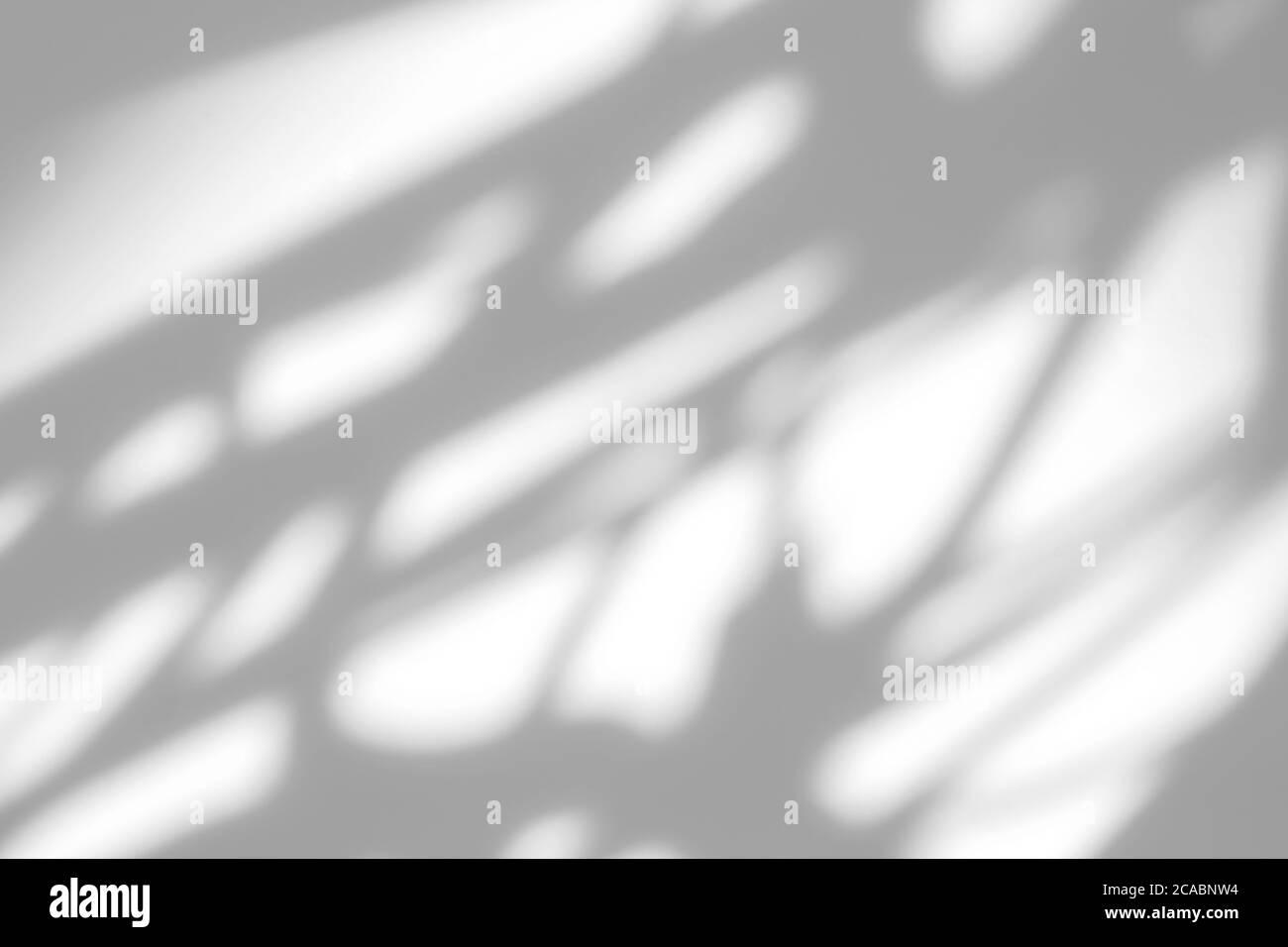 Organic drop shadow on a white wall Stock Photo - Alamy