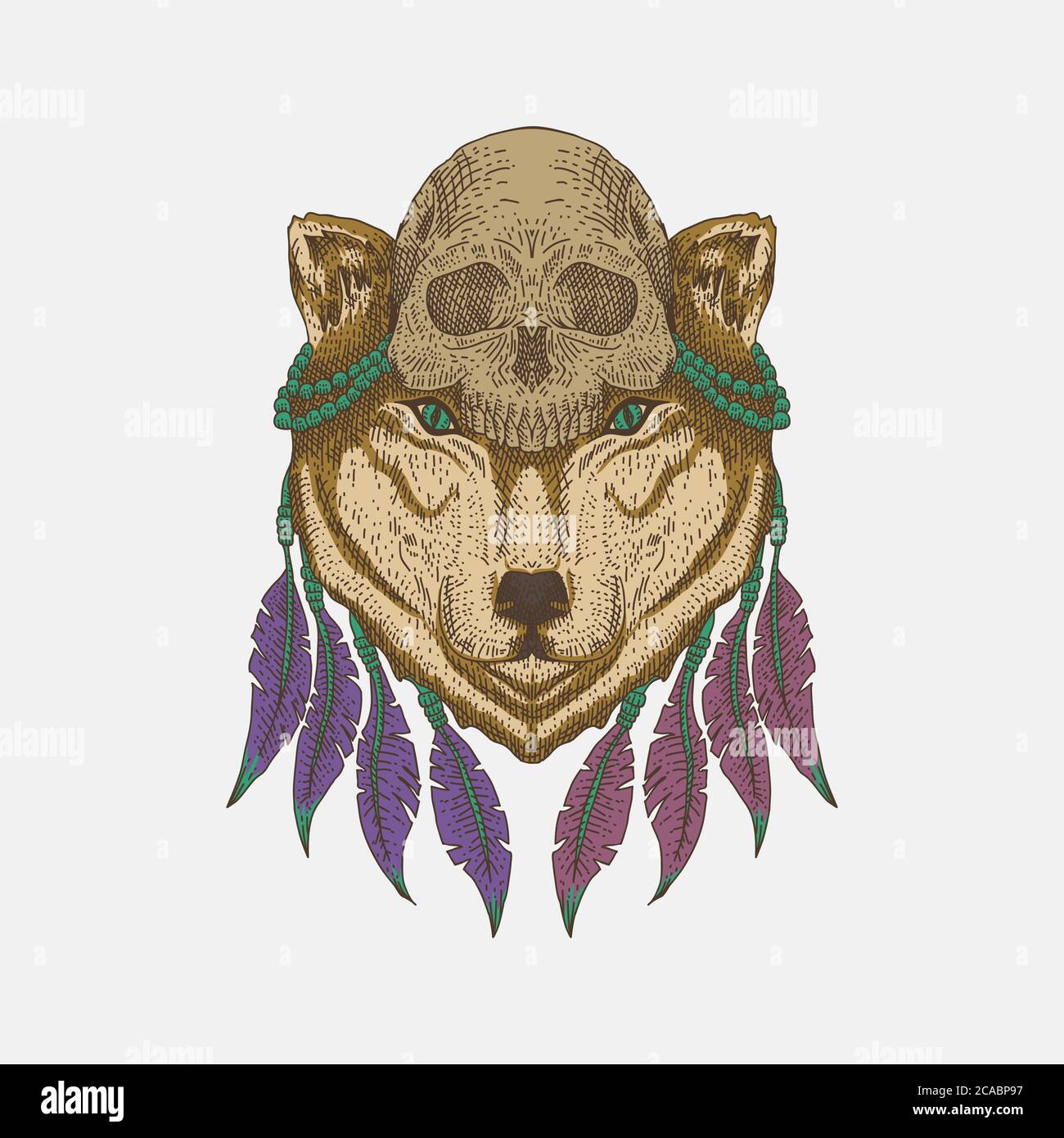 Wolf skull Stock Vector Images - Alamy