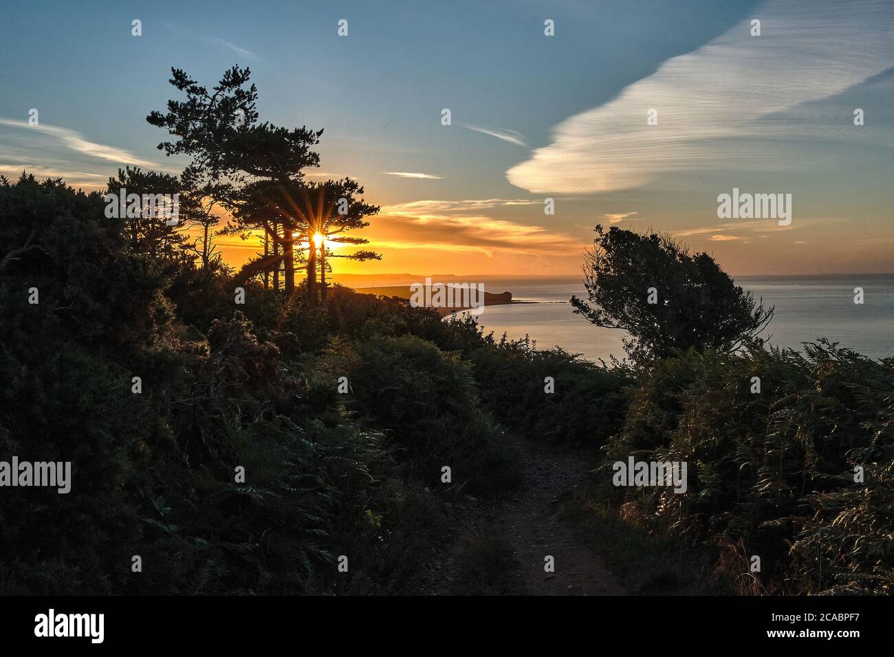 Southwest Coast Path at Dawn Stock Photo - Alamy