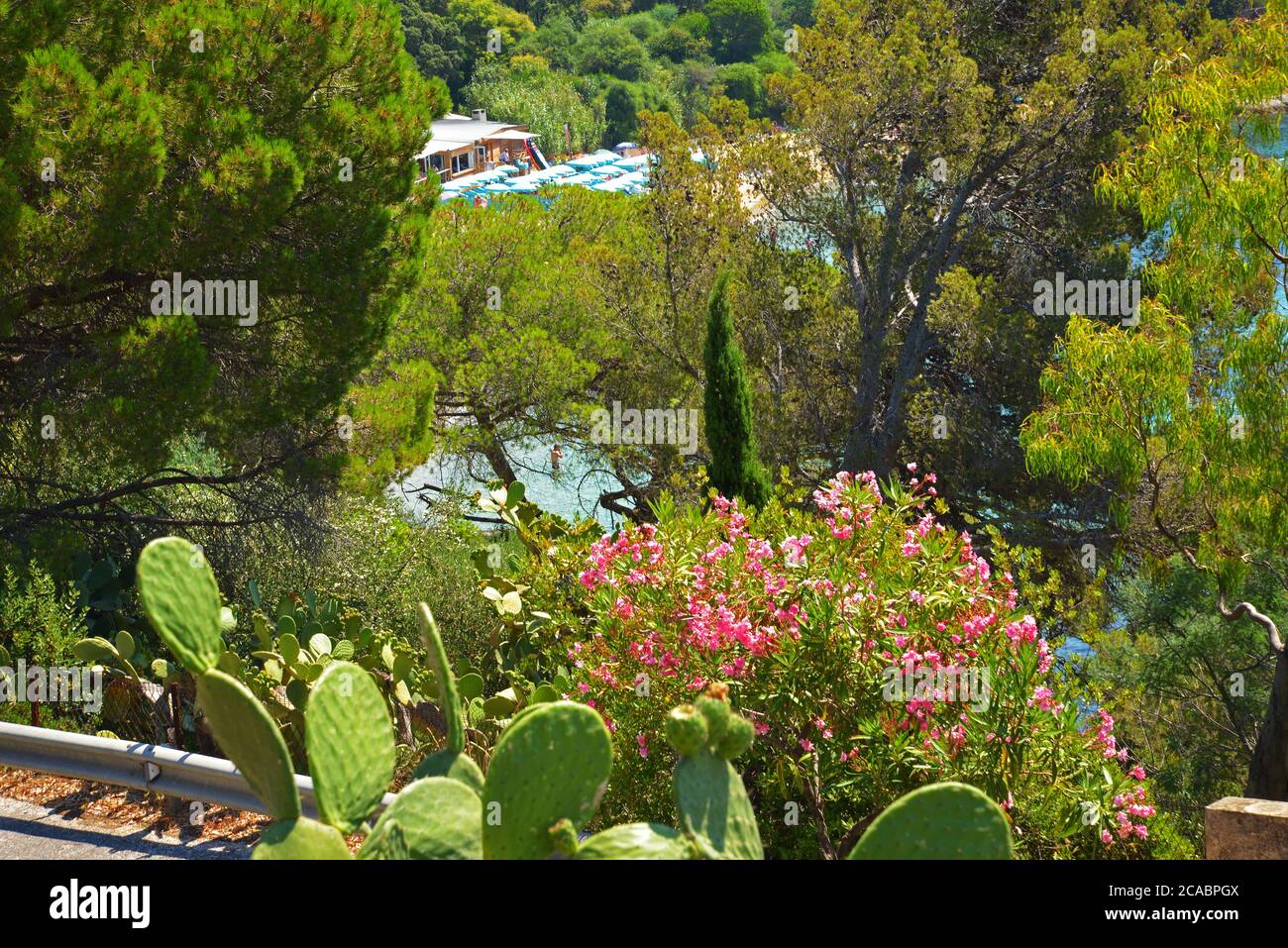 Le Lavandou La Fossette beach in summer Stock Photo - Alamy