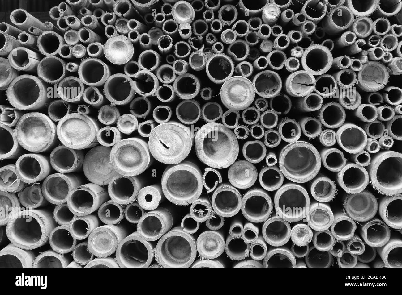 Full-frame assortment of the round ends of bamboo canes - stacked for ...