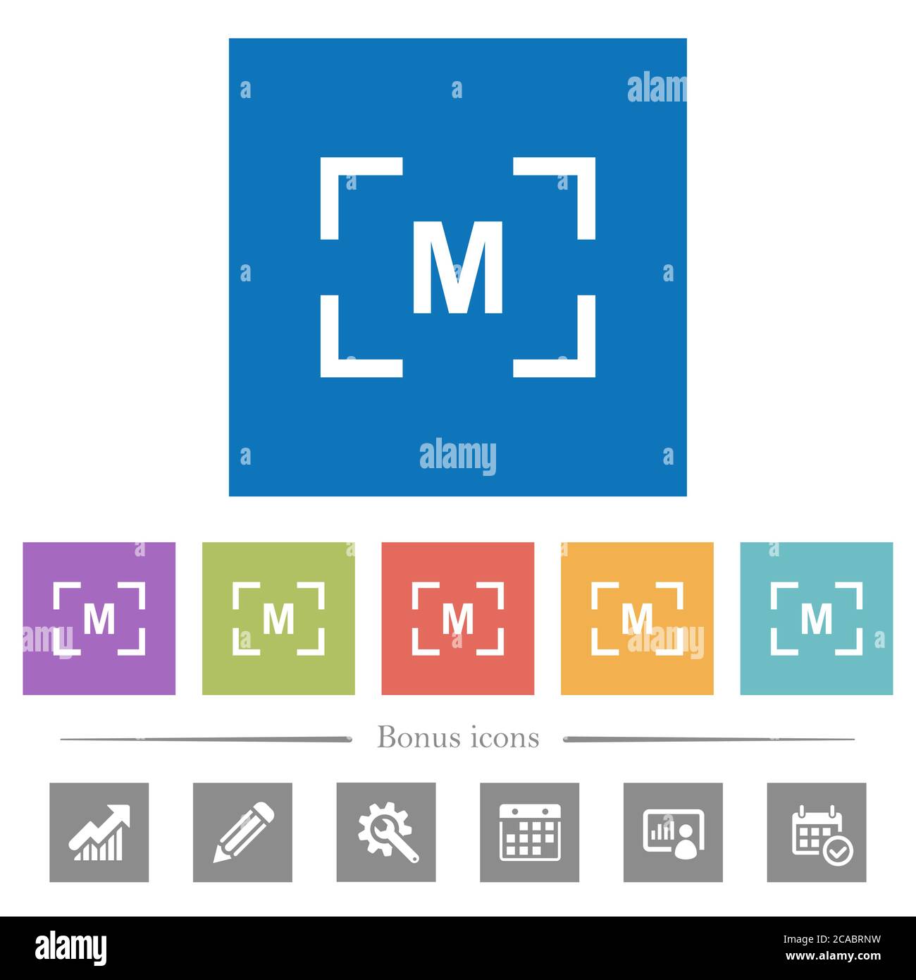 Camera manual settings mode flat white icons in square backgrounds. 6 bonus icons included Stock ...