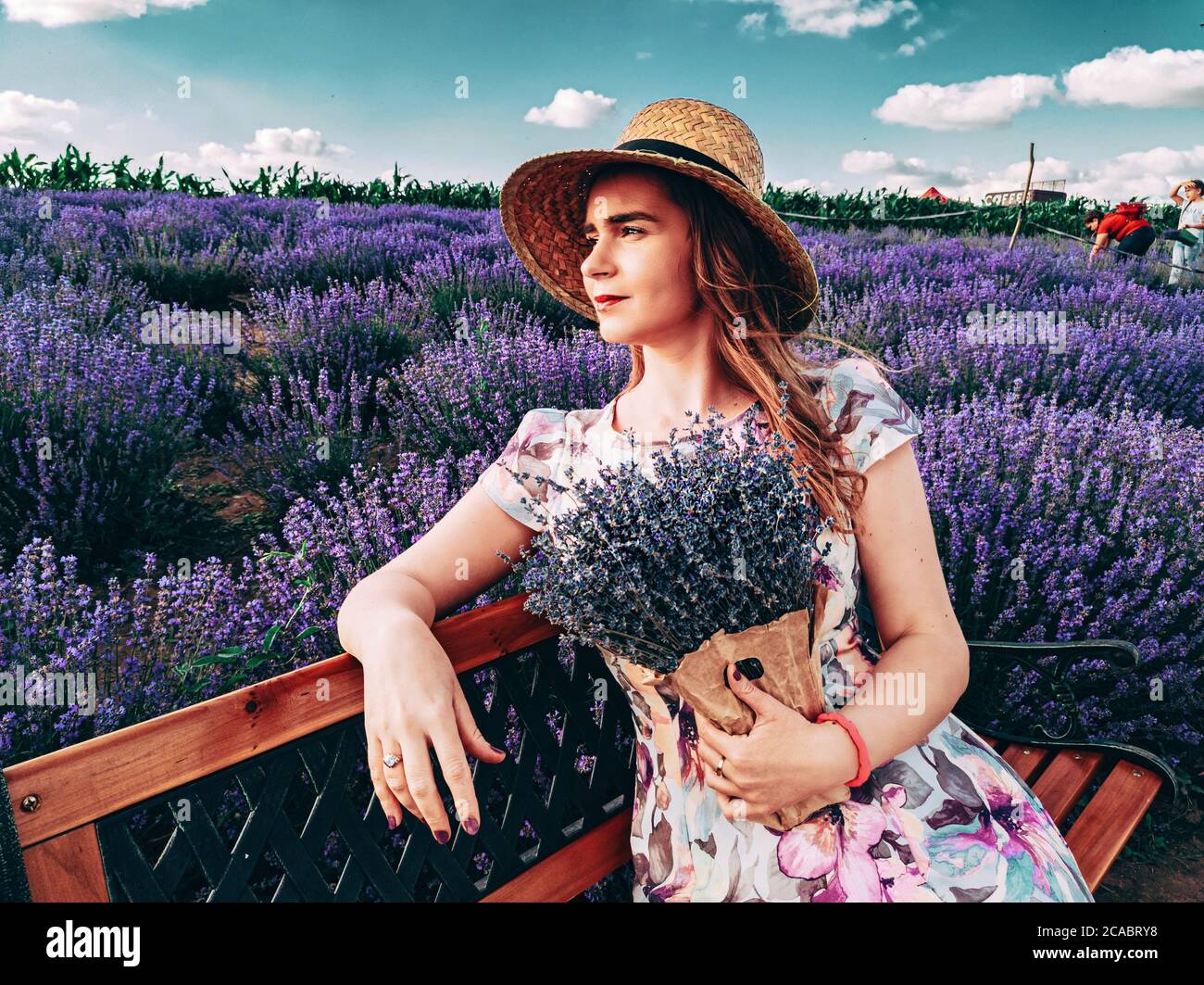 Beautiful female sitting on a bench in a flower field and holding a ...