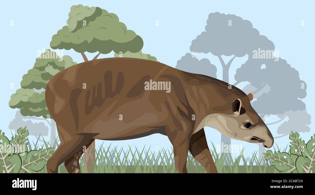 wild tapir animal in the camp landscape vector illustration design ...