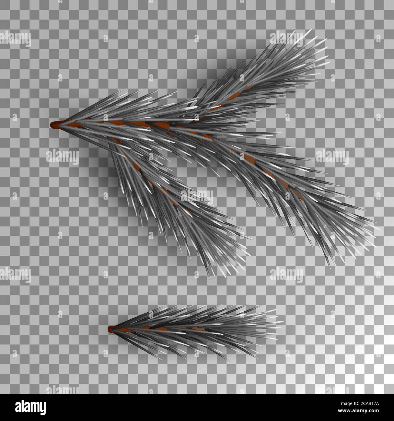 Pine branch decoration Stock Vector Images - Alamy