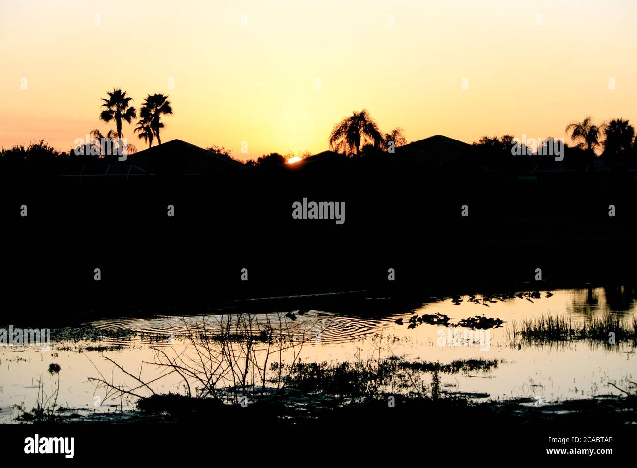 Florida Sunset Scenery Stock Photo - Alamy