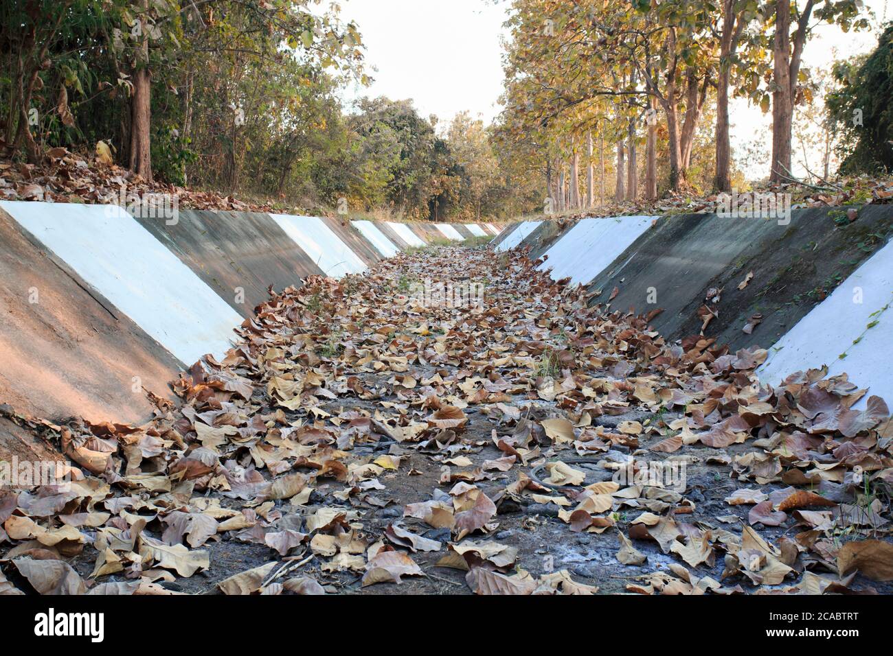 Dry irrigation canal with heap of dry leaves Stock Photo - Alamy