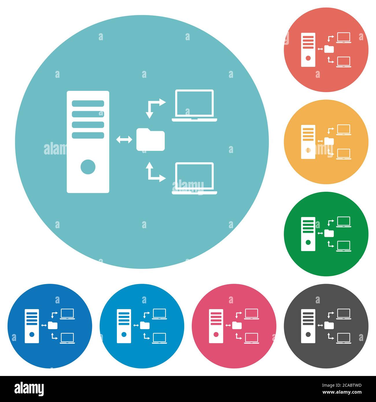 Network file system with server flat white icons on round color ...