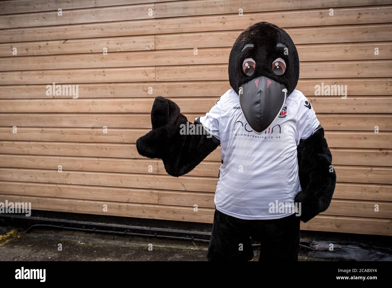 Sports Team Mascot High Resolution Stock Photography and Images - Alamy
