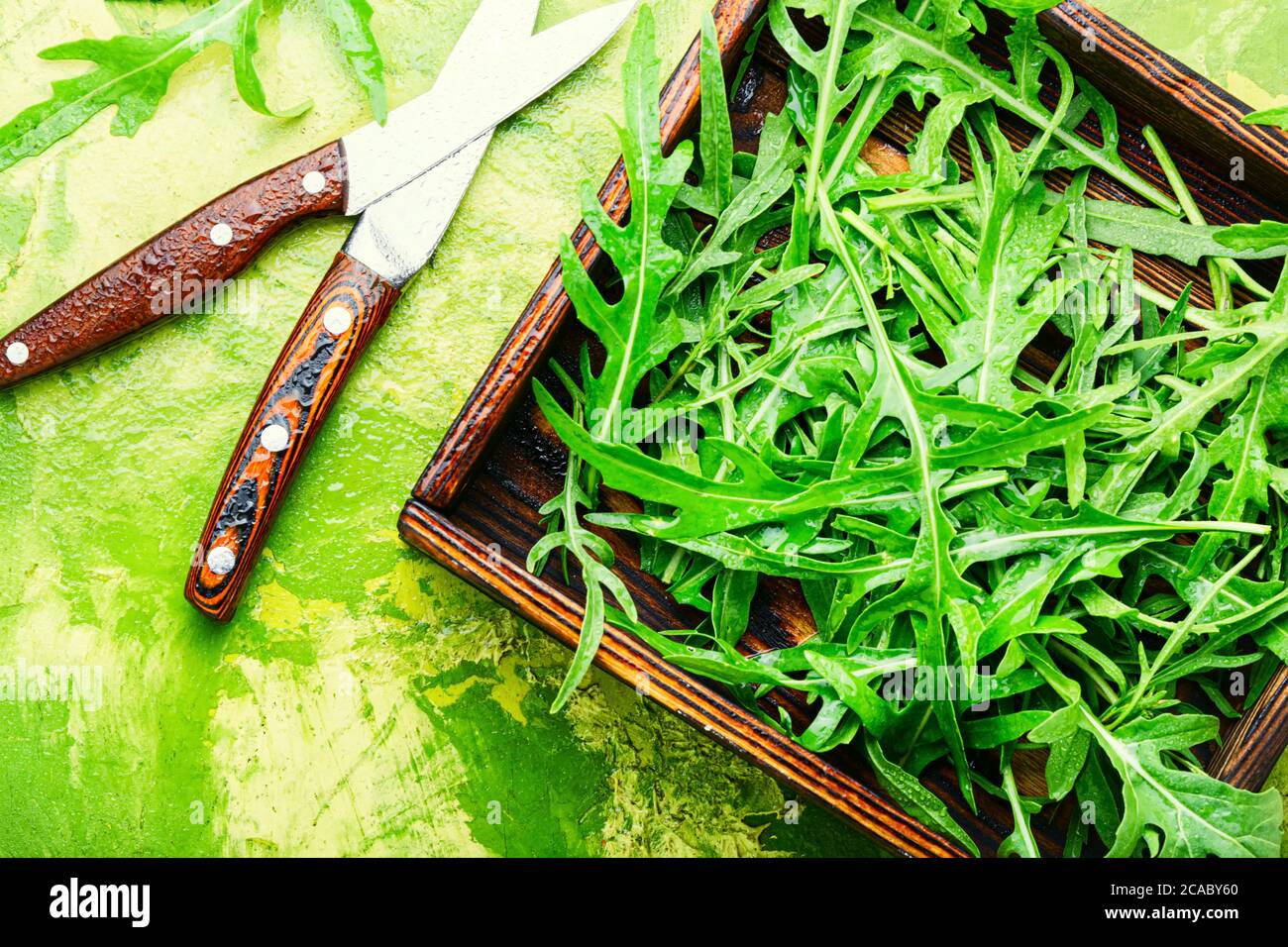 Rucola plant green leaves hi-res stock photography and images - Alamy