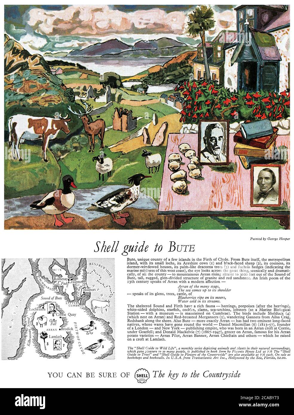 1960s advertising shell Cut Out Stock Images & Pictures - Alamy