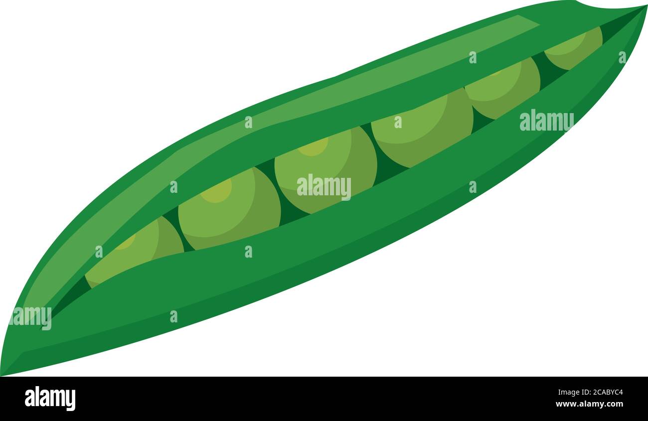 fresh beans seeds healthy vegetable vector illustration design Stock ...