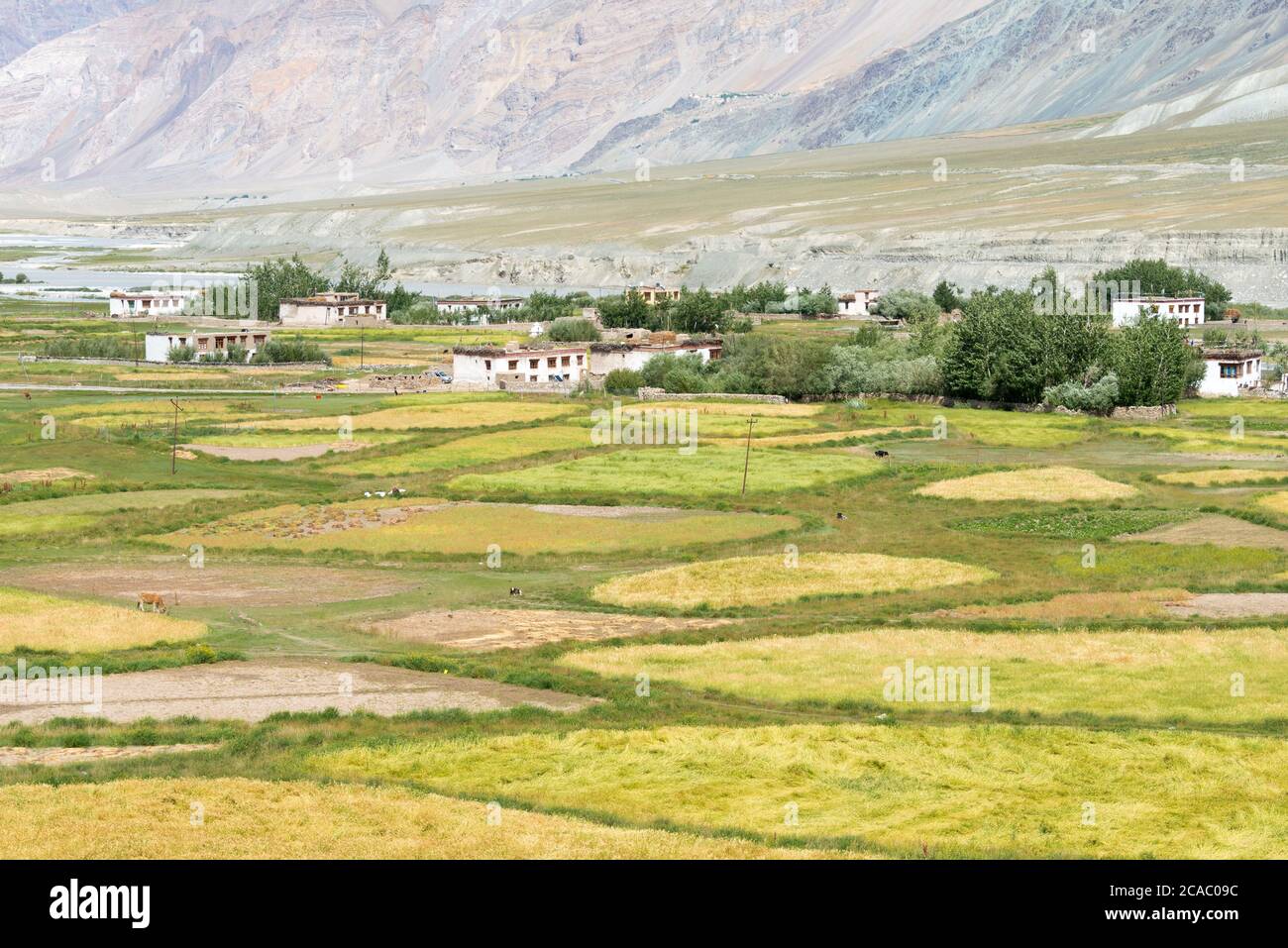 Zanskar, India - Beautiful scenic view from Between Karsha and Padum in ...