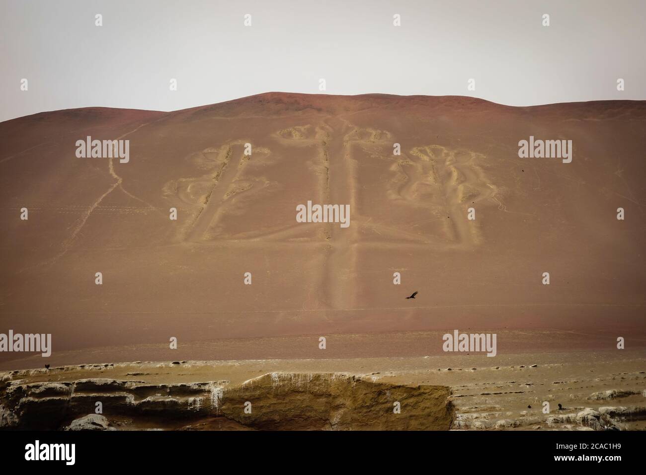 Pisco Bay High Resolution Stock Photography and Images - Alamy