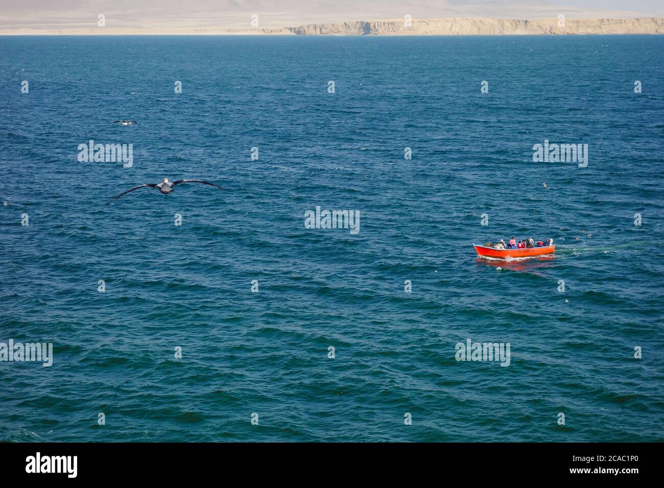 PARACAS, PERU - Sep 27, 2019: Ica/Peru: fish boats in Paracas National ...