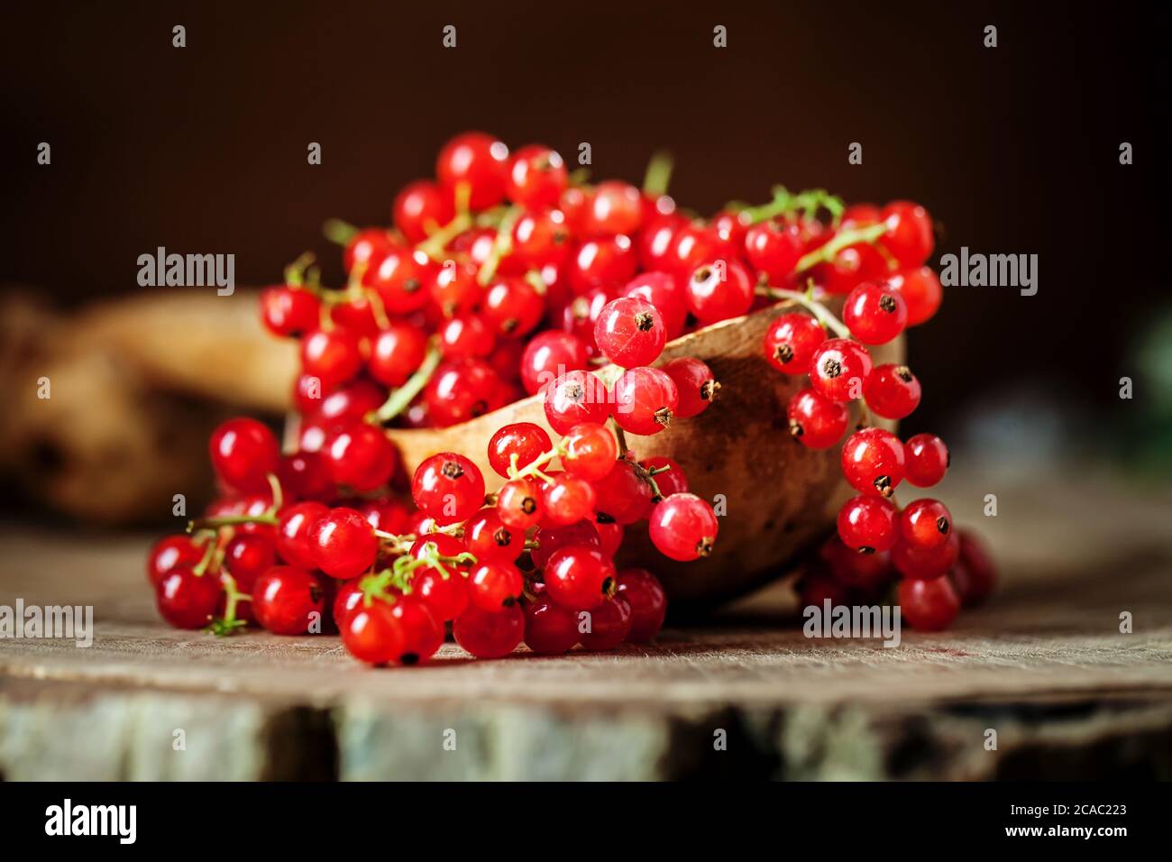Fresh red currants in a Cup on a dark rustic wooden table. Background ...