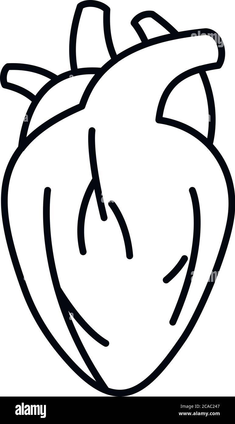 Muscle human heart icon. Outline muscle human heart vector icon for web ...