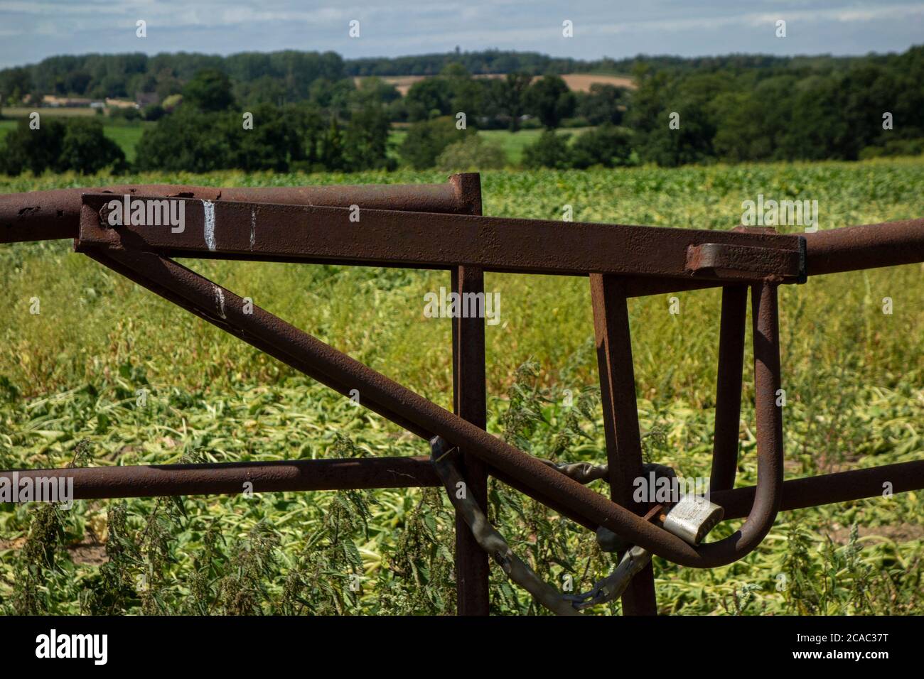 Locked field gate Stock Photo - Alamy