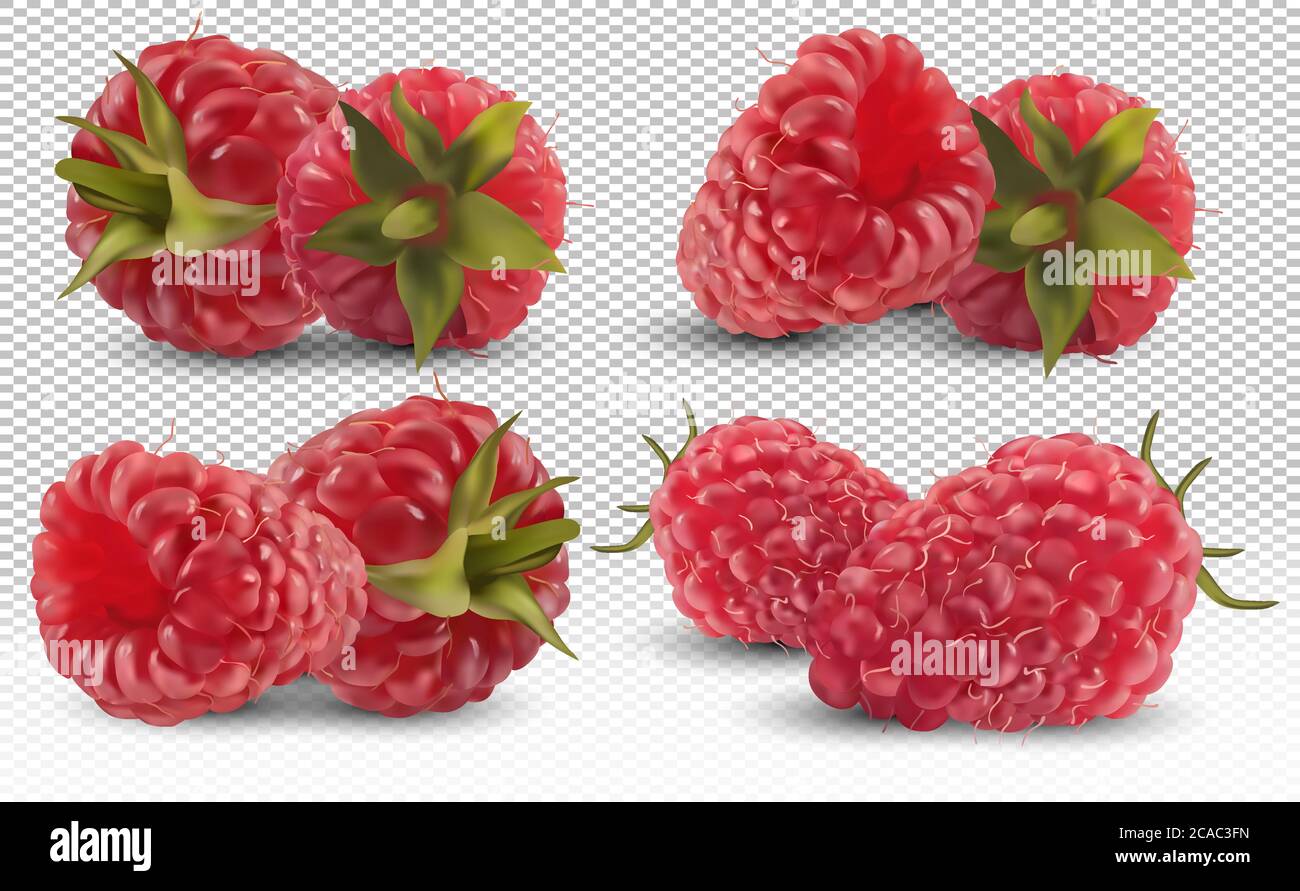 Set of raspberry from different angles on transparent background ...