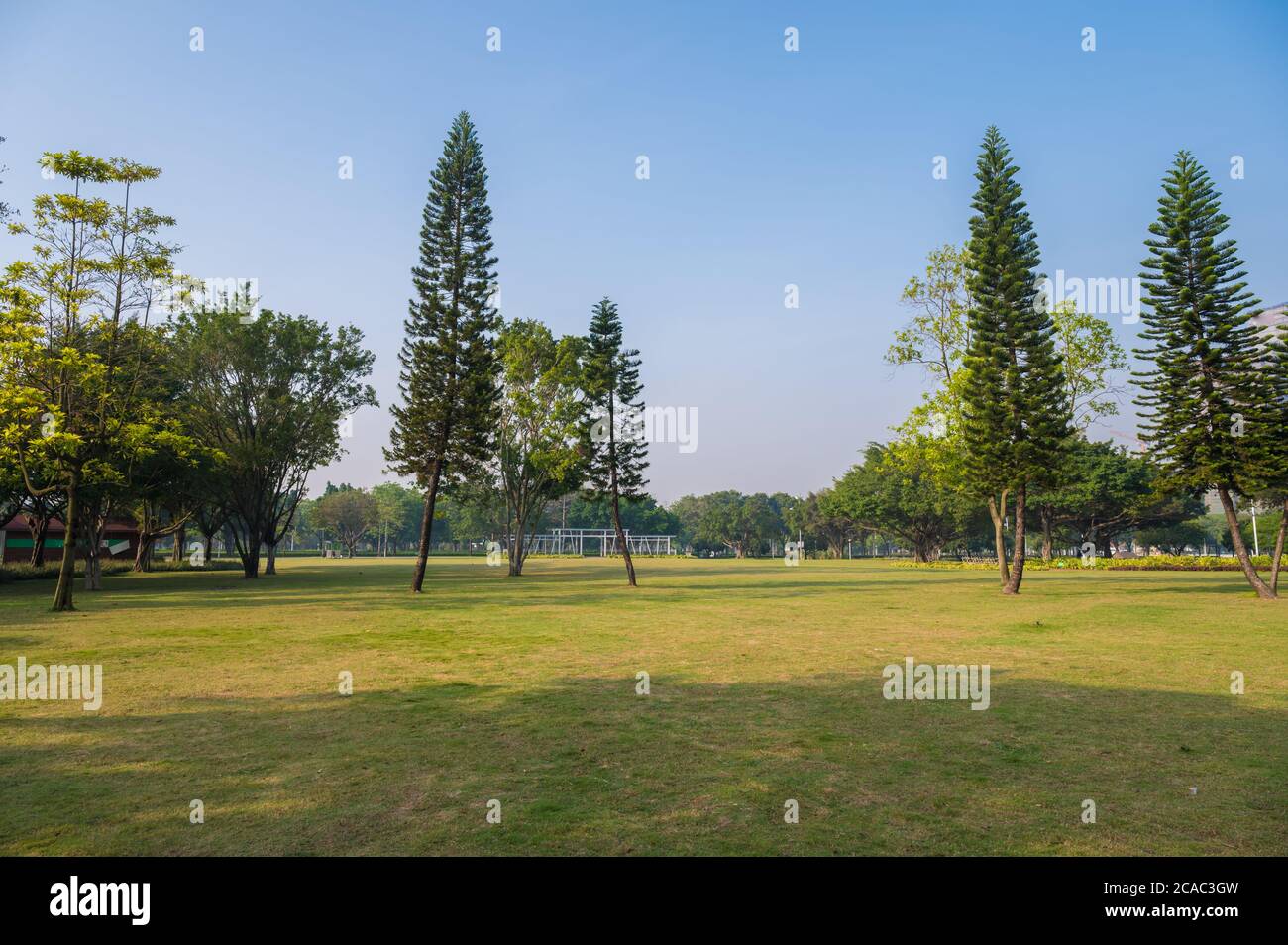The open grassland landscape of the park Stock Photo - Alamy