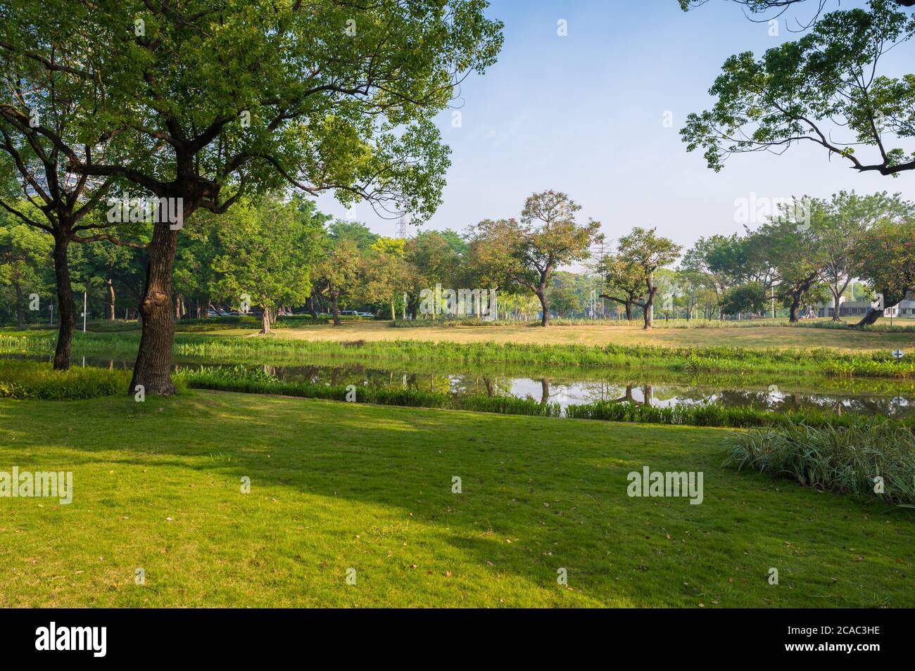 The open grassland landscape of the park Stock Photo - Alamy