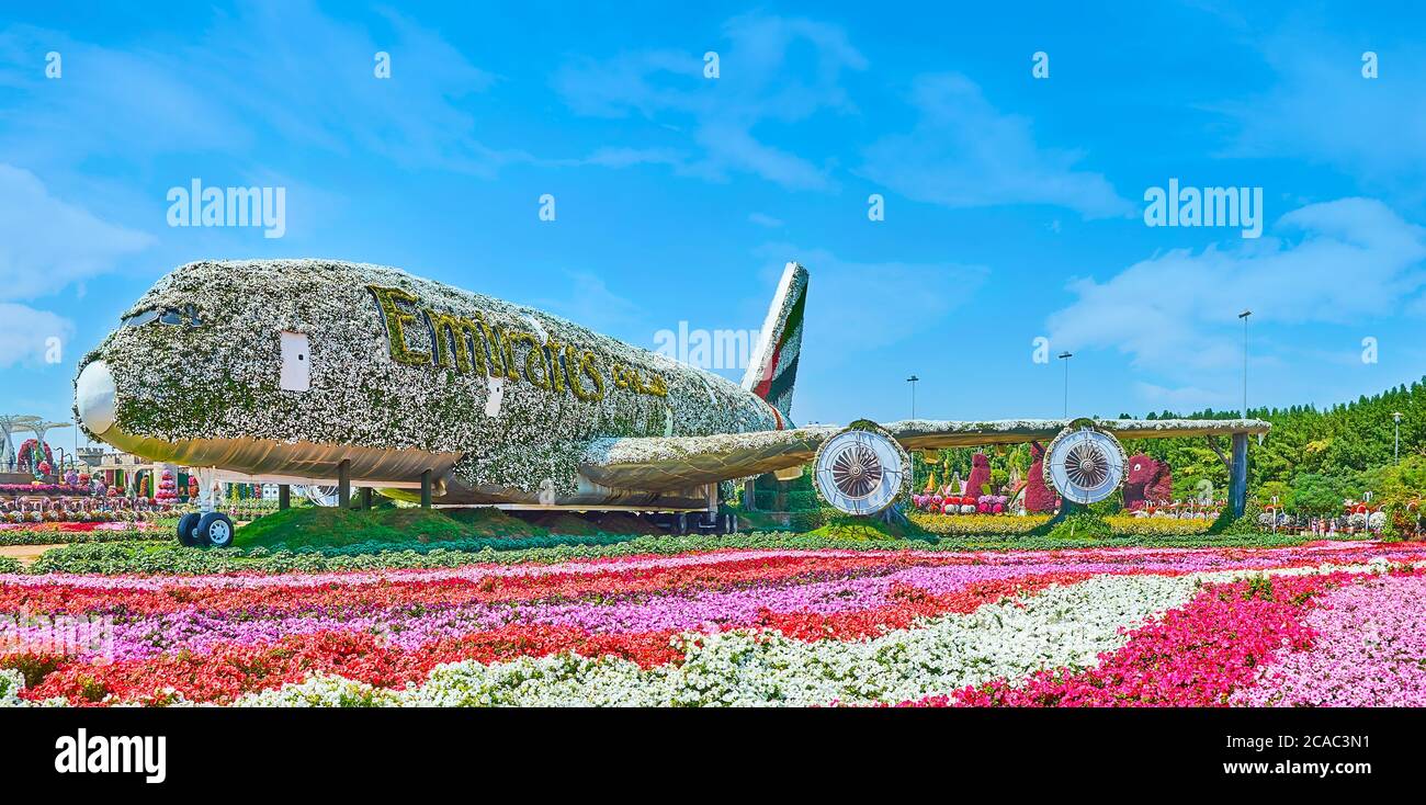 DUBAI, UAE - MARCH 5, 2020: Panorama of colorful petunia flower beds ...