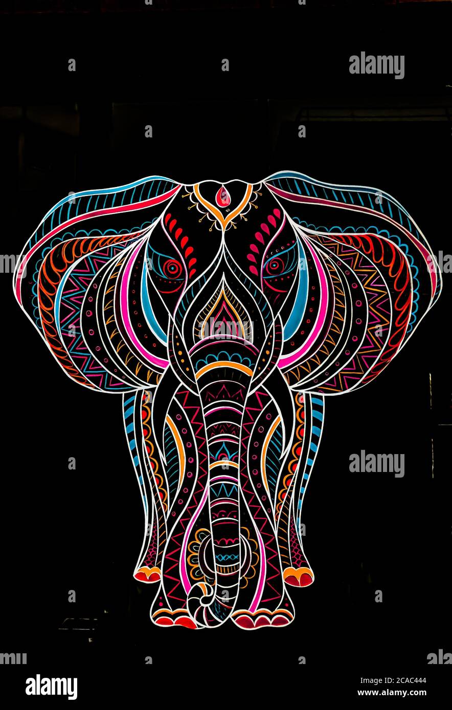 Illustration of a beautiful and colourful elephant on the black ...